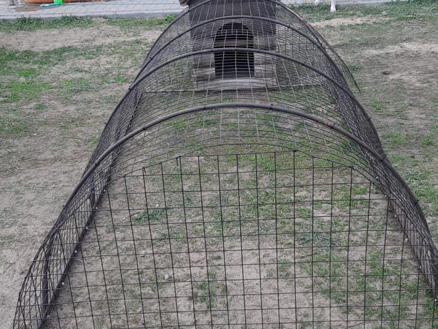 Курятник летний