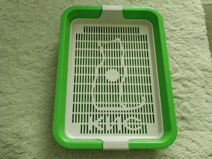 Лоток для котят