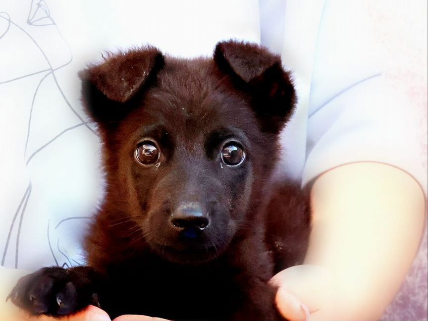 Малыш Кирюша