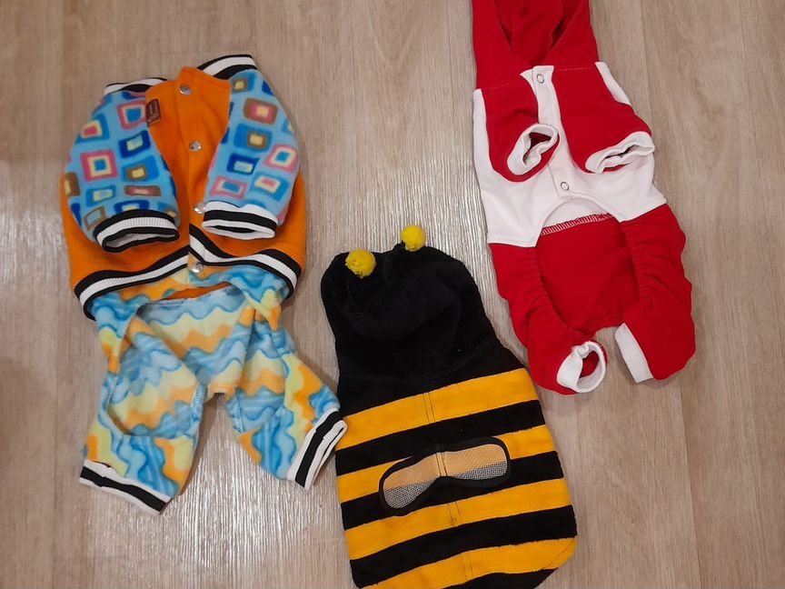 Костюм для кошек и собак