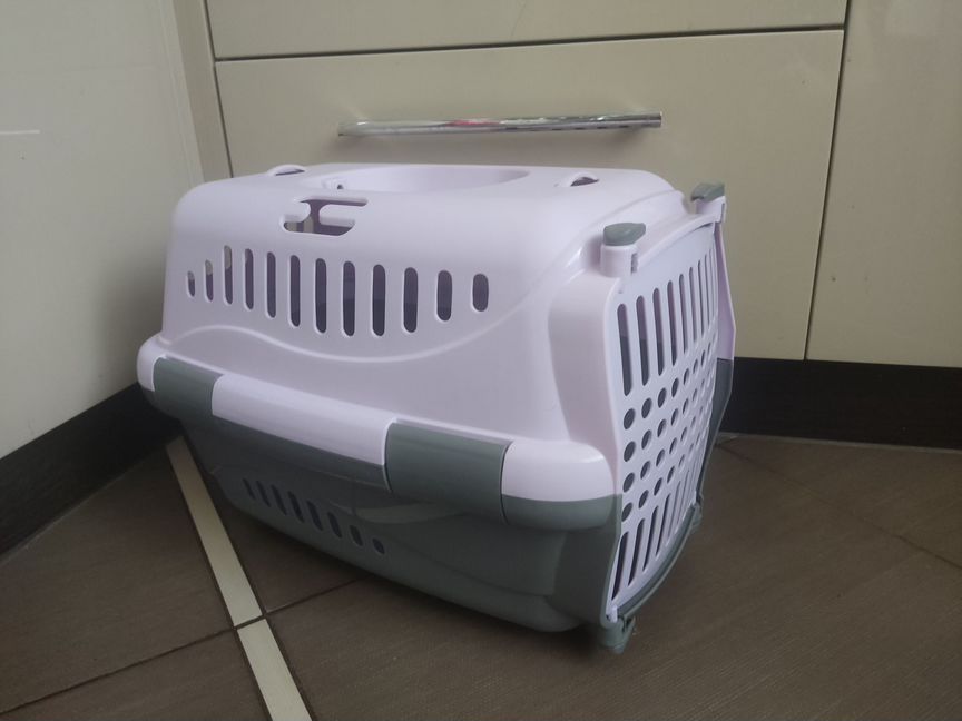 Переноска в аренду