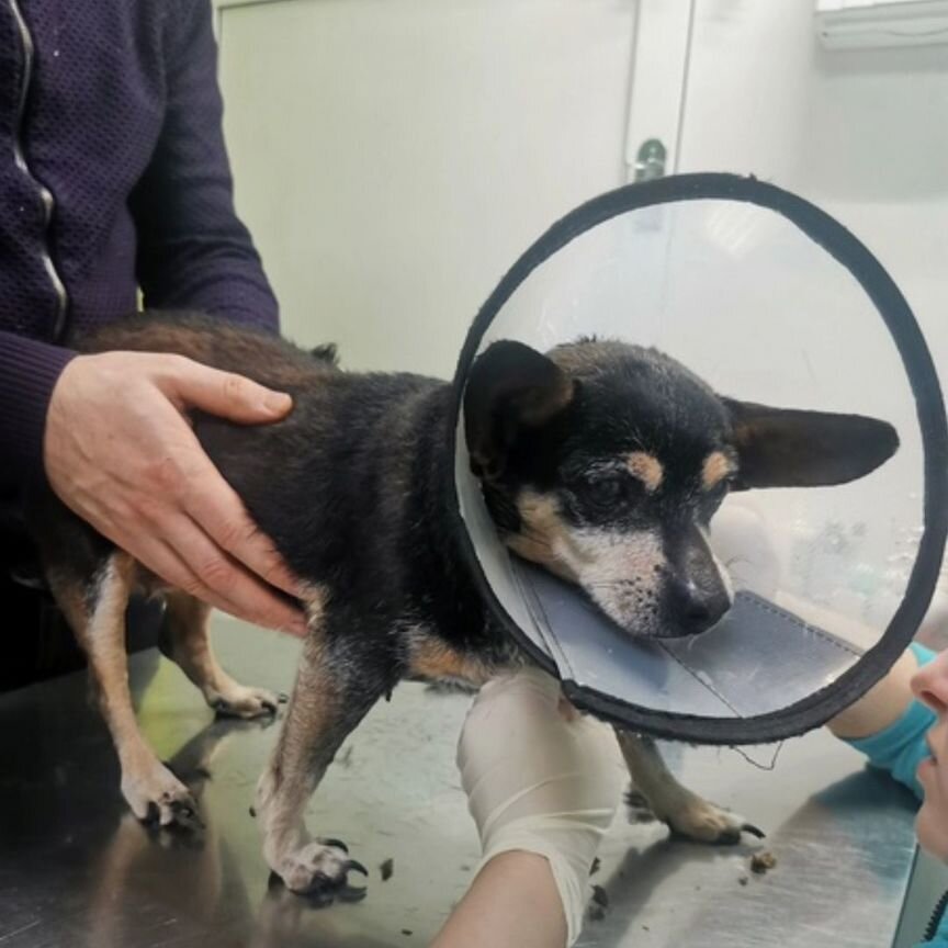 Малышка из пакета