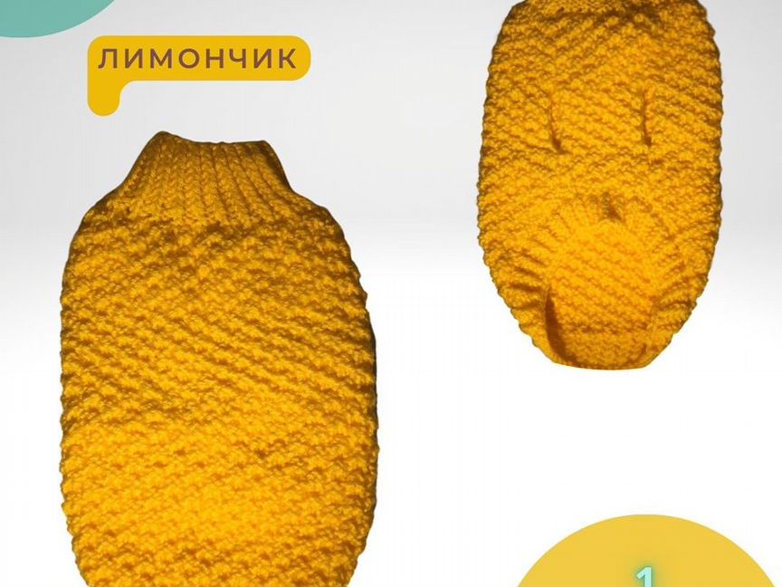 Одежда для животных