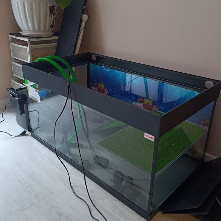 Аквариум для красноухой черепахи