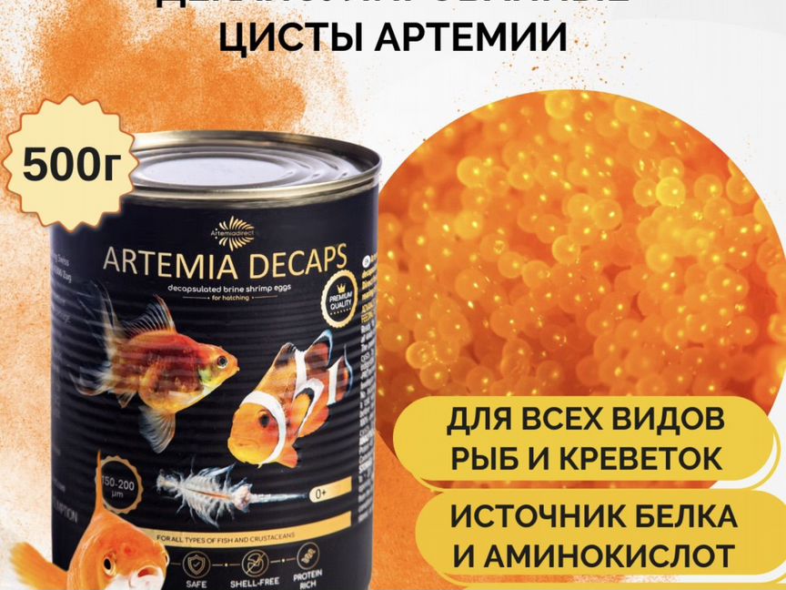 Декапсулированные цисты артемии