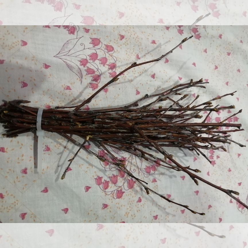 Игрушка для попугая