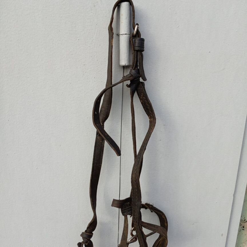 Уздечка для лошади