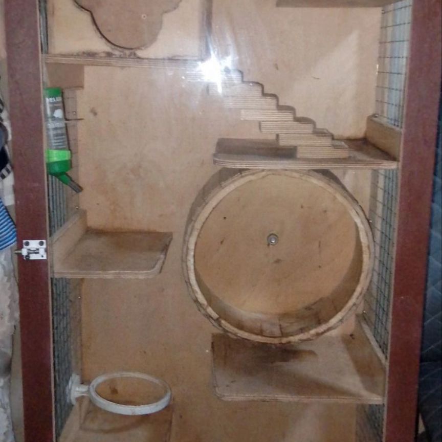 Витрина для шиншилл