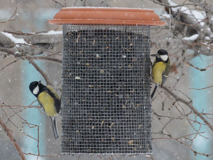 Кормушка для птиц сетчатая бункер на 8 л