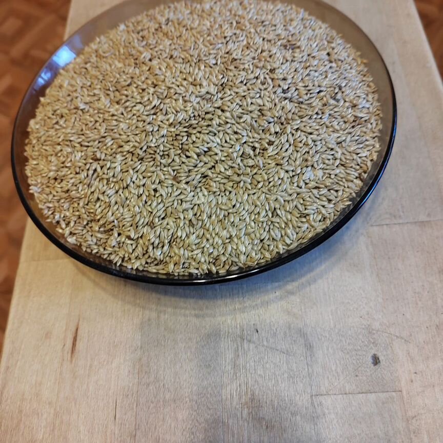 Канареечное семя