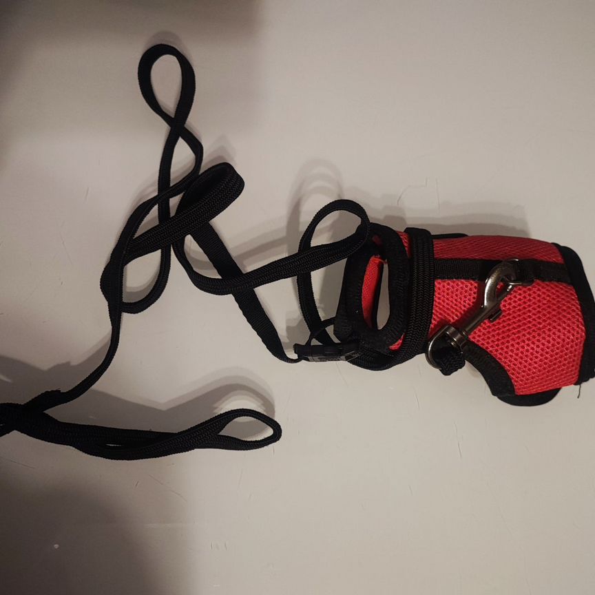 Шлейка для крысы