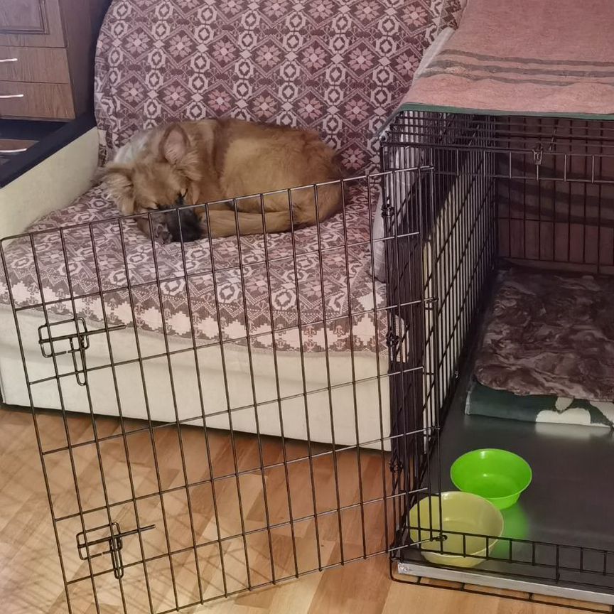 Клетка вольер для крупных собак