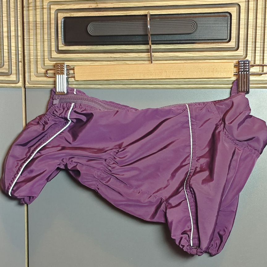 Одежда для собак