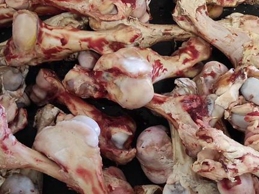 Сахарная кость, обычные кости Говядина