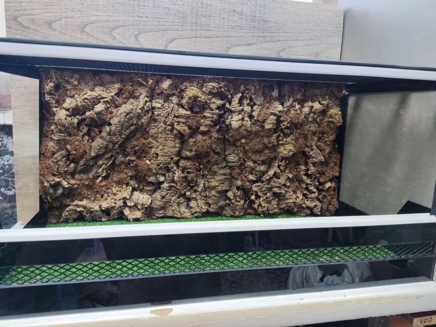 Террариум для рептилий