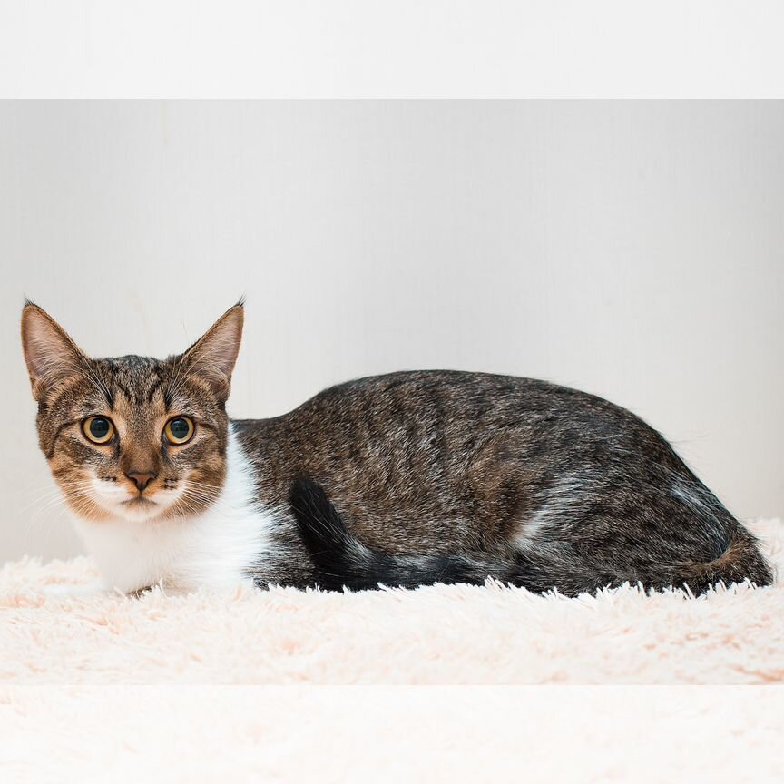 Молоденькая ласковая Машенька в добрые руки