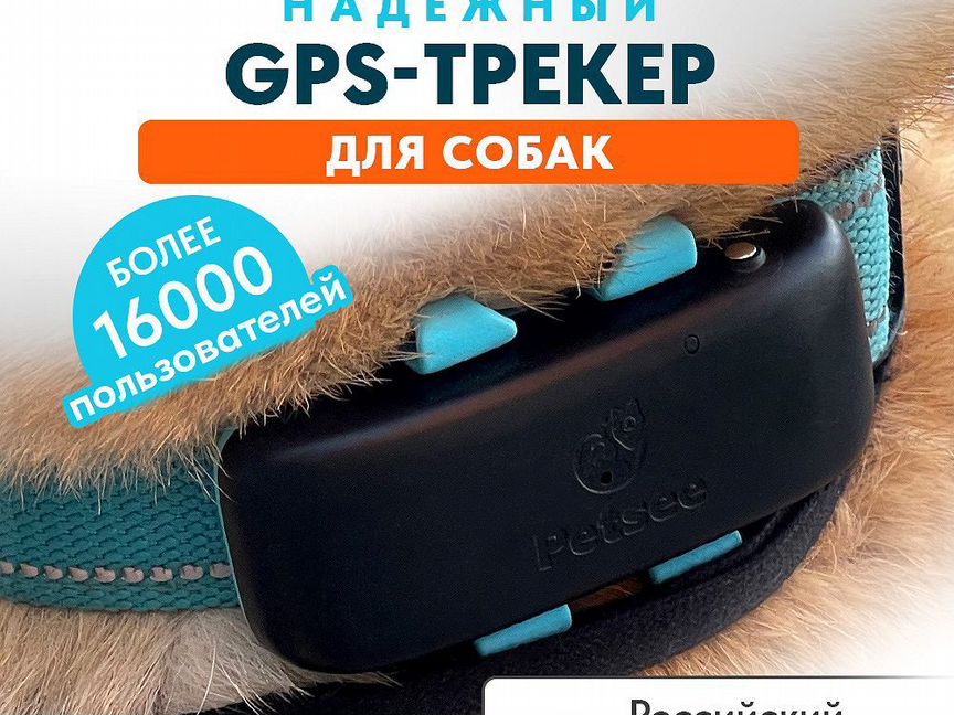Навигатор для собак