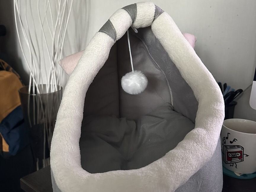 Леданка для кошек