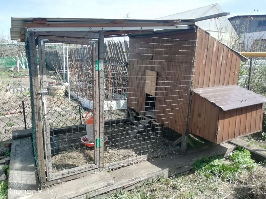 Готовый курятник