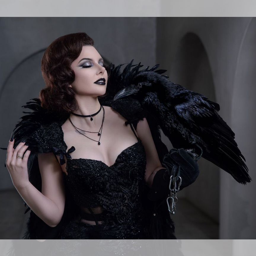 Ворон для фотосессий и видеосъемки
