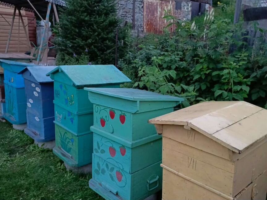 Улей для пчел