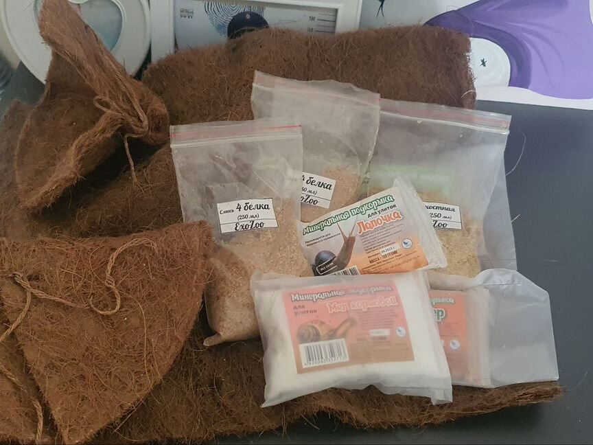 Корм+ кокос.коврик+ 2 укрытия для улиток ахатин