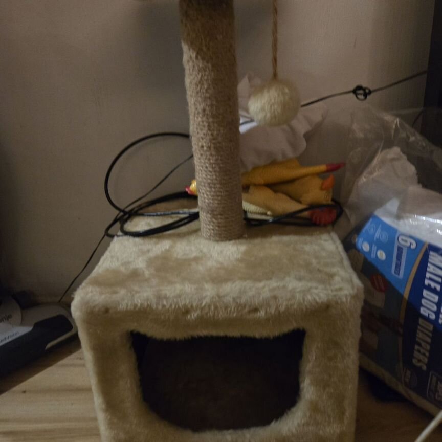 Когтеточка