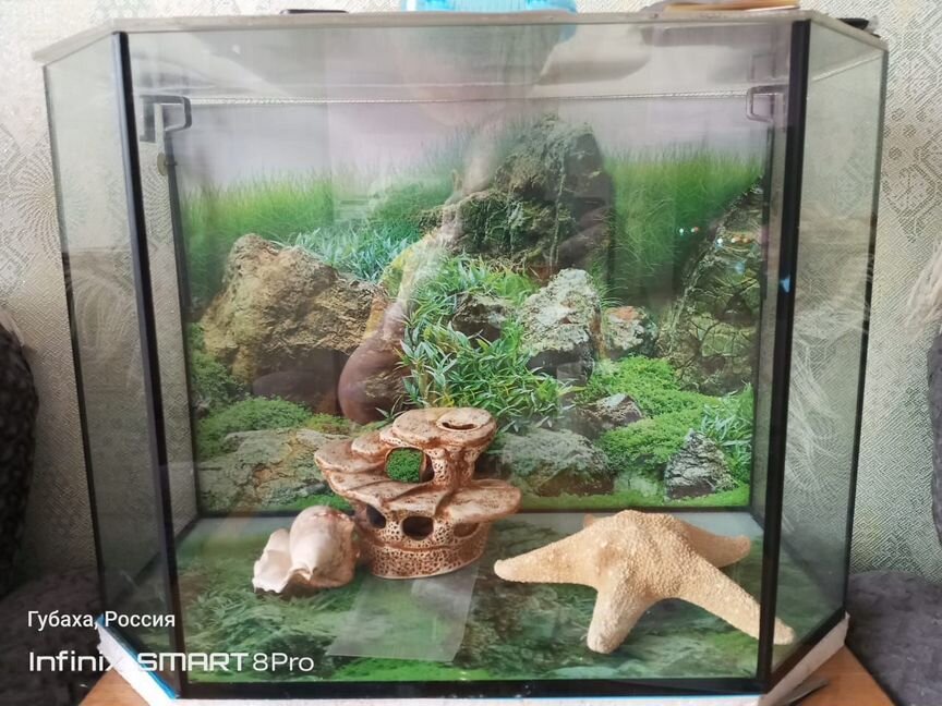 Украшения для аквариума
