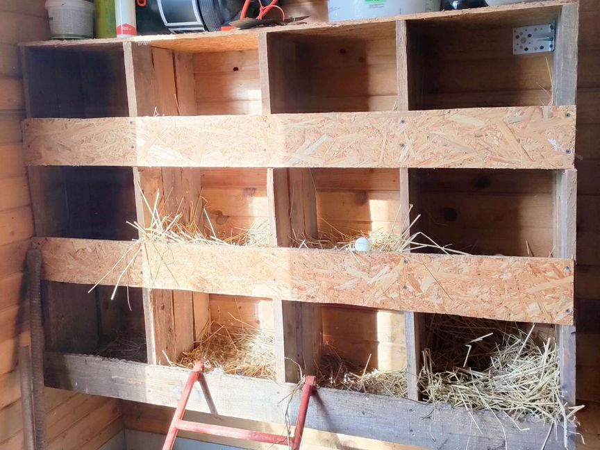 Гнезда для кур б/у