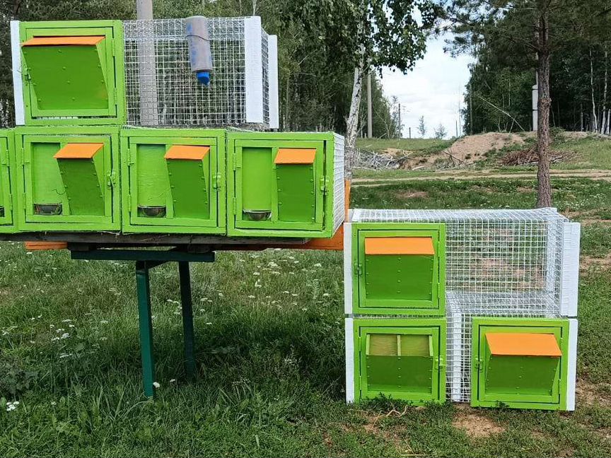 Клетки для кроликов