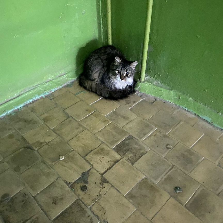 Ищу дом