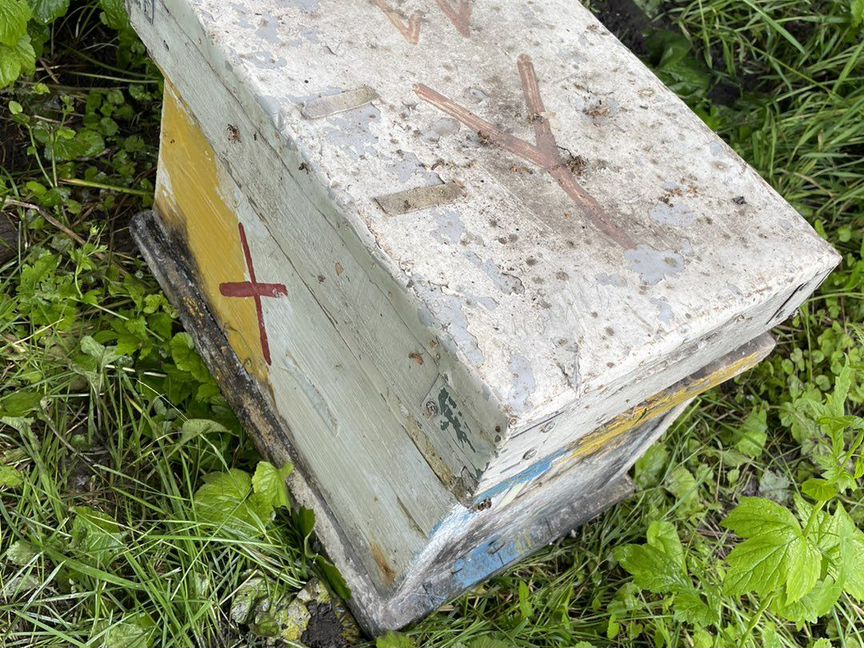 Нуклеусы для пчел