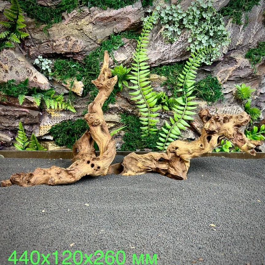 Коралловое дерево/Coral Wood кд681