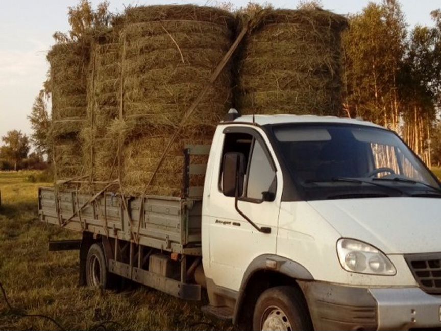 Продам сено в рулонах