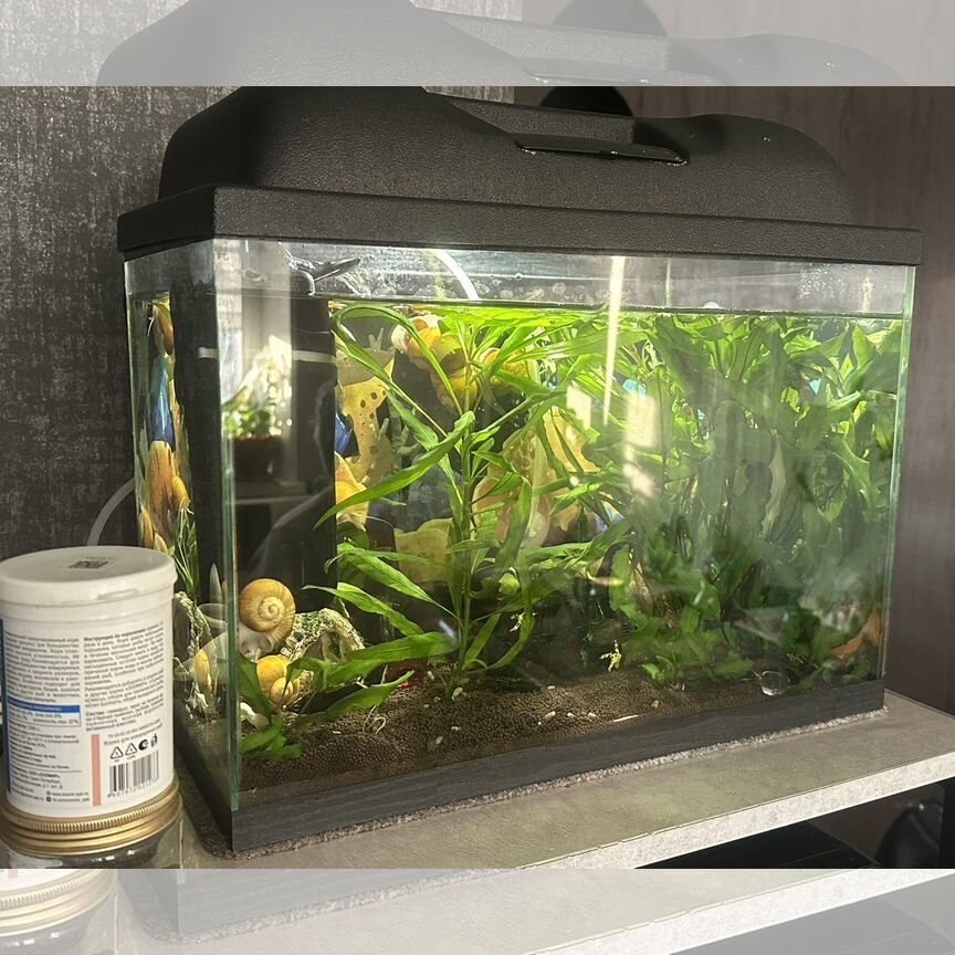 Аквариум с рыбками 30 литров