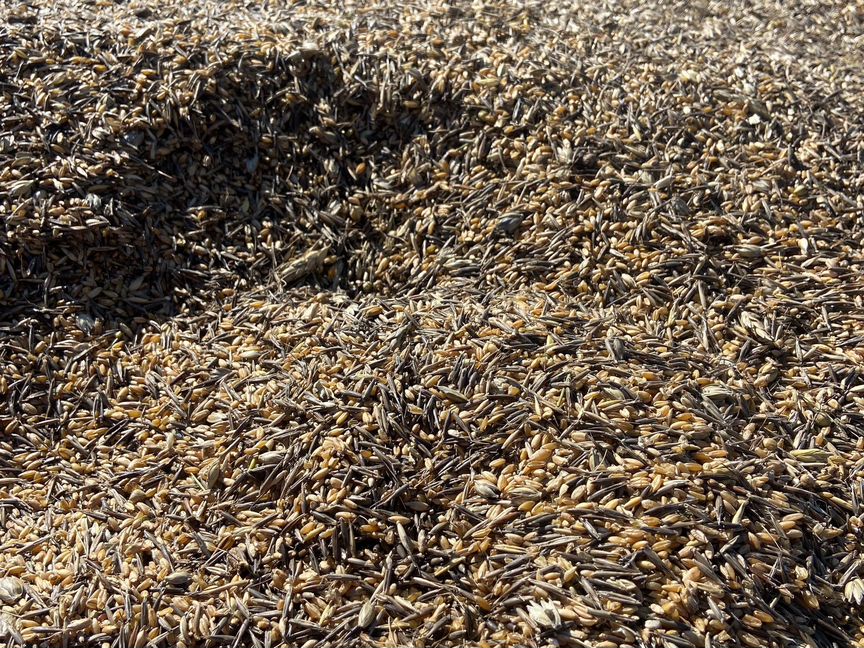 Зерноотходы