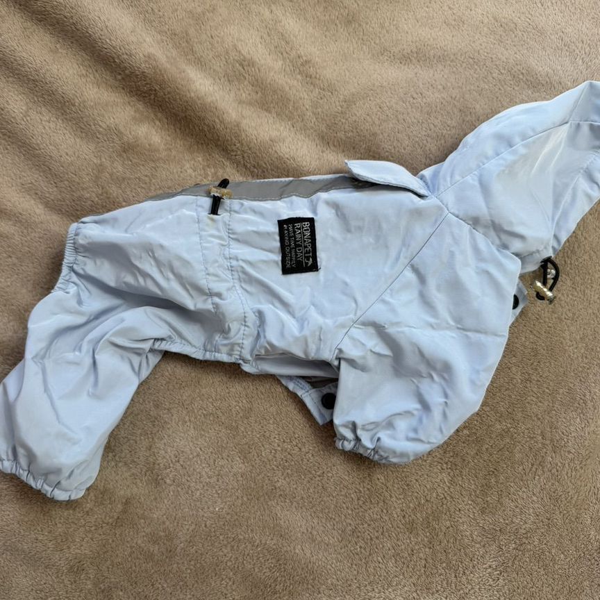 Одежда для маленьких собак