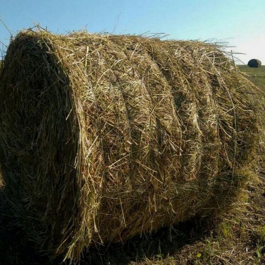 Продам тюки