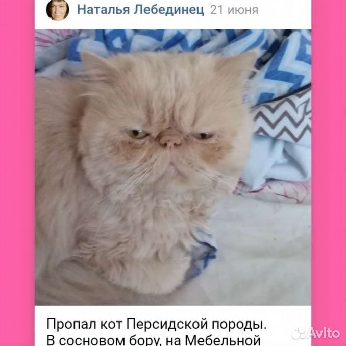 Экстремал Персидский