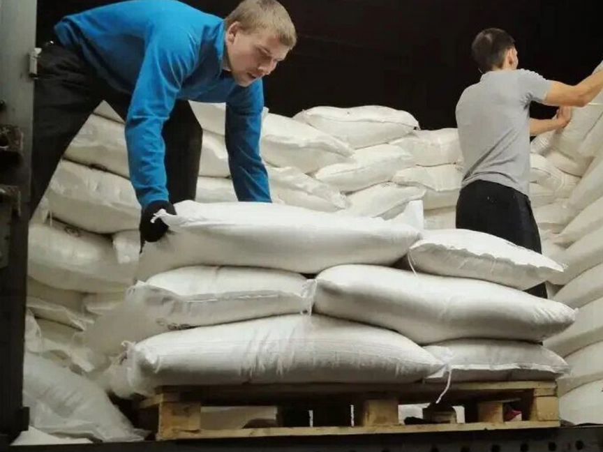 Корм для собак север