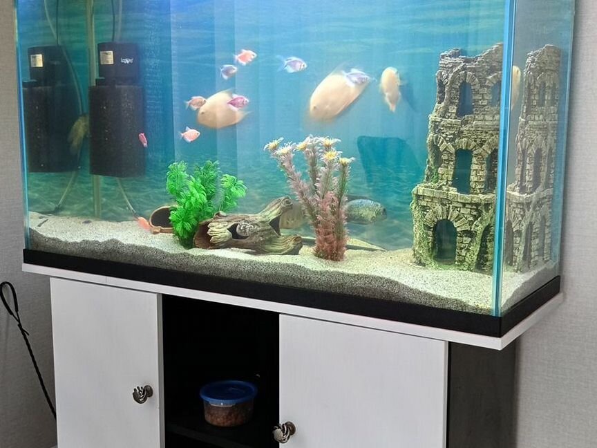 Продам аквариум с рыбками