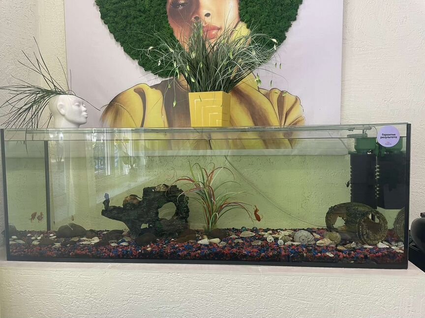 Аквариум на 500 литров