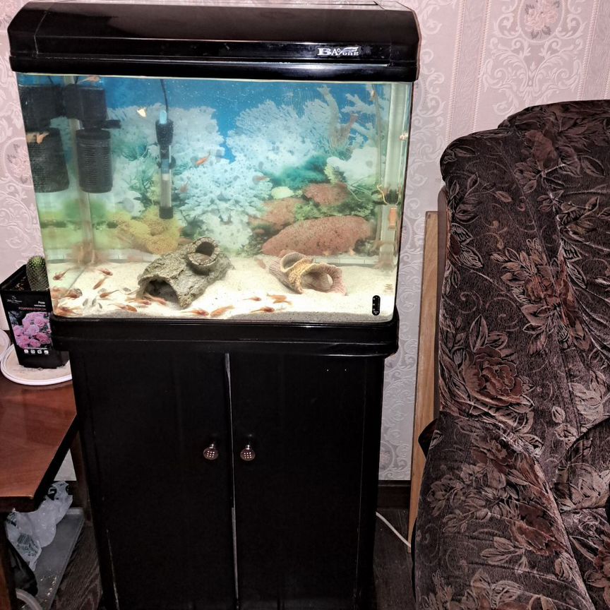Аквариум 80-90 литр тумба в подарок