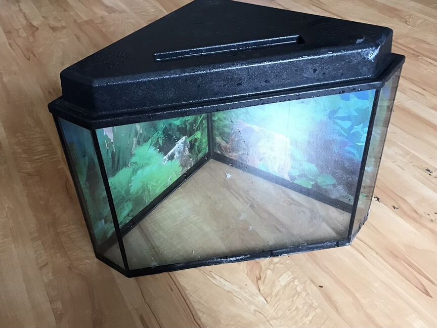 Аквариум для земноводных