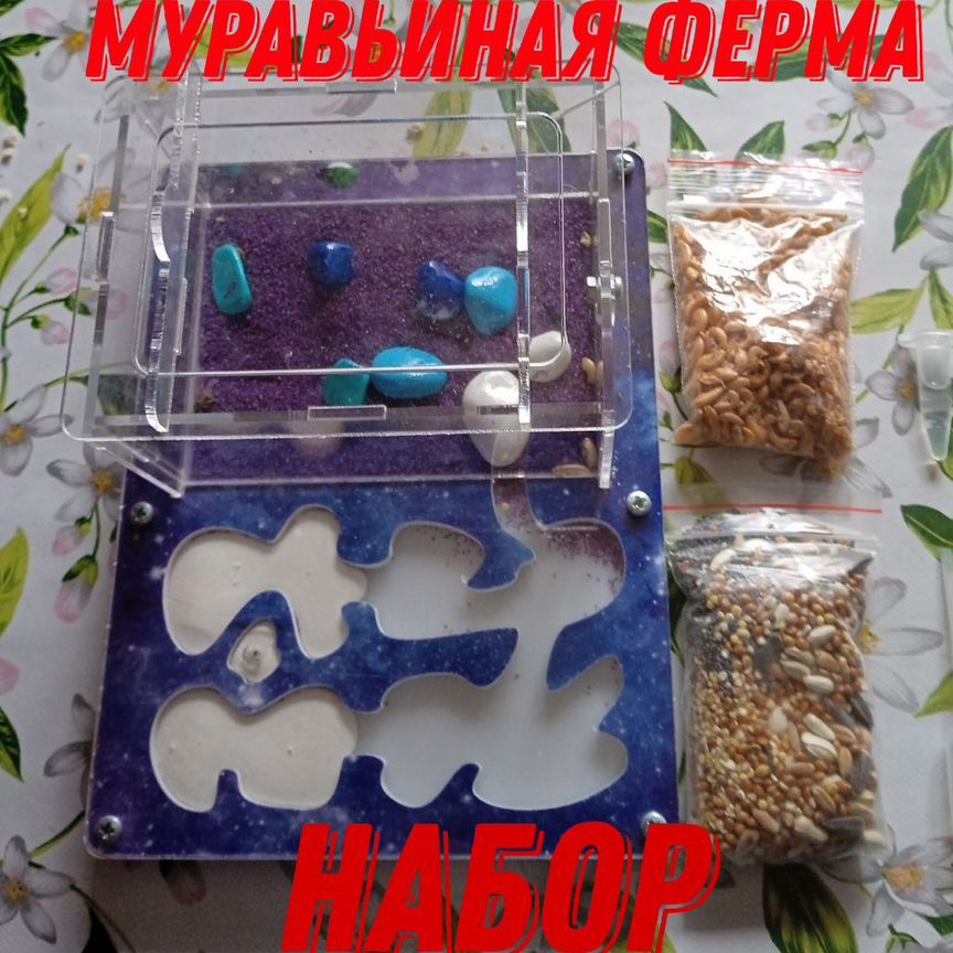 Муравьиная ферма без муравьев Новая