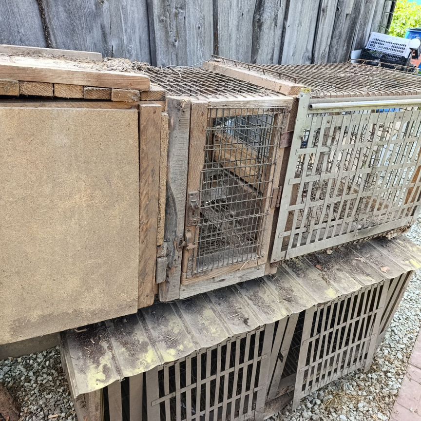 Клетка для кроликов