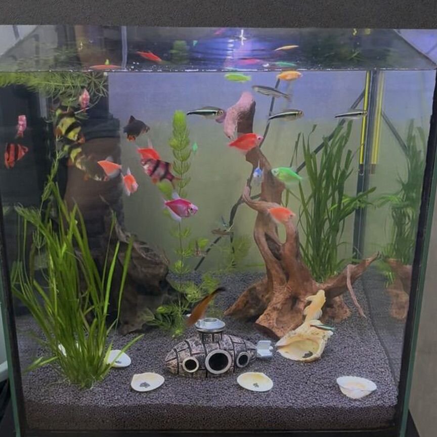 Аквариум куб на 72л