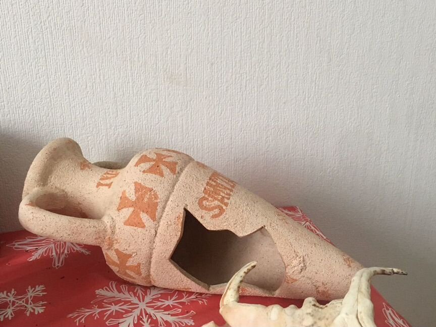 Ракушка, замок,кувшин
