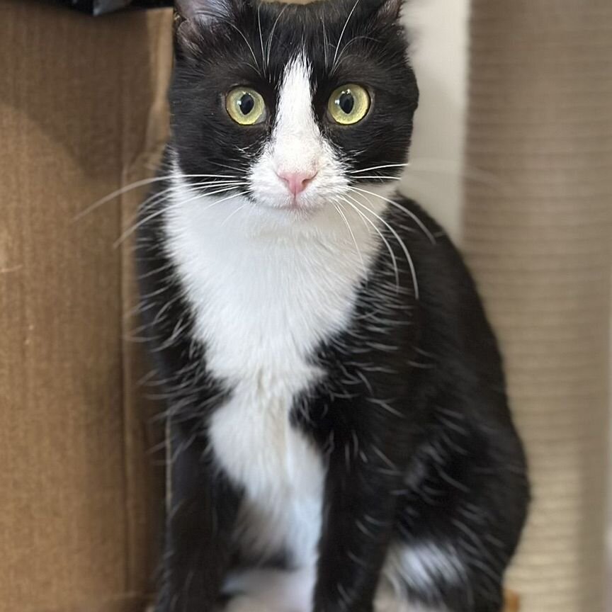 Максим в самые заботливые руки