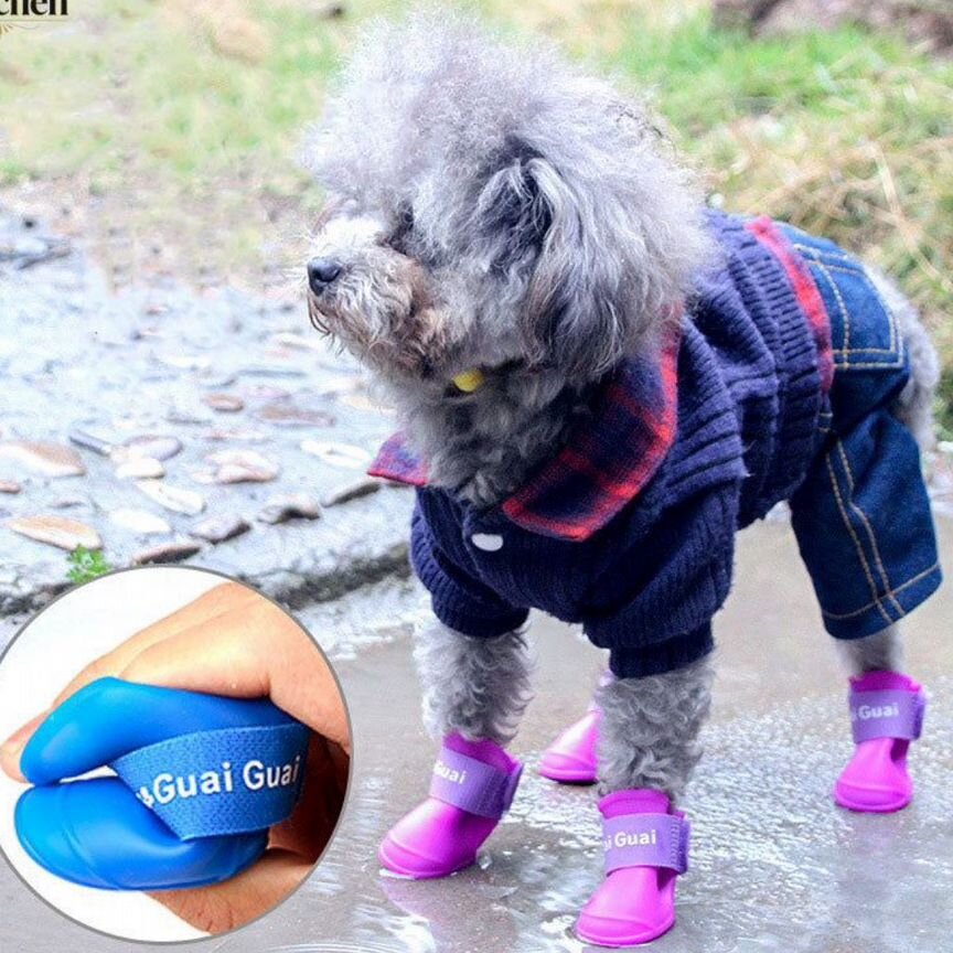 Резиновые сапоги для собачки   подарок